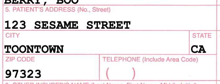 Box 5 - Patient's Address – RCM