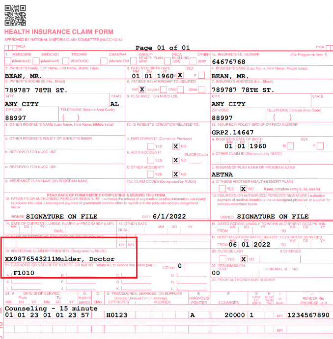 Box 19 - Additional Claim Information (Designated by NUCC) – RCM