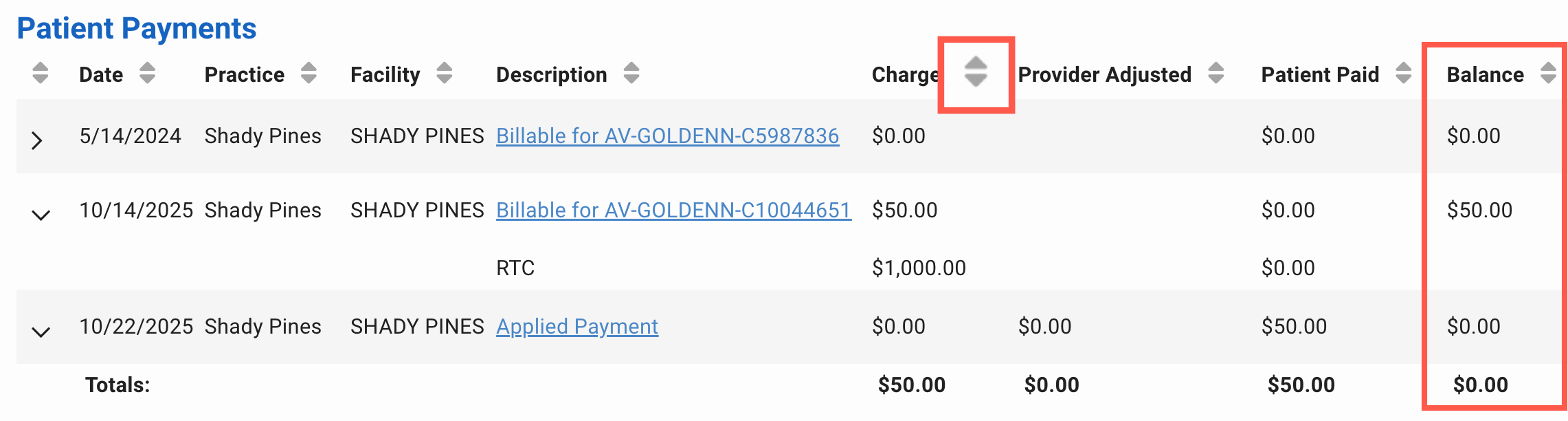 Patient Ledger – RCM